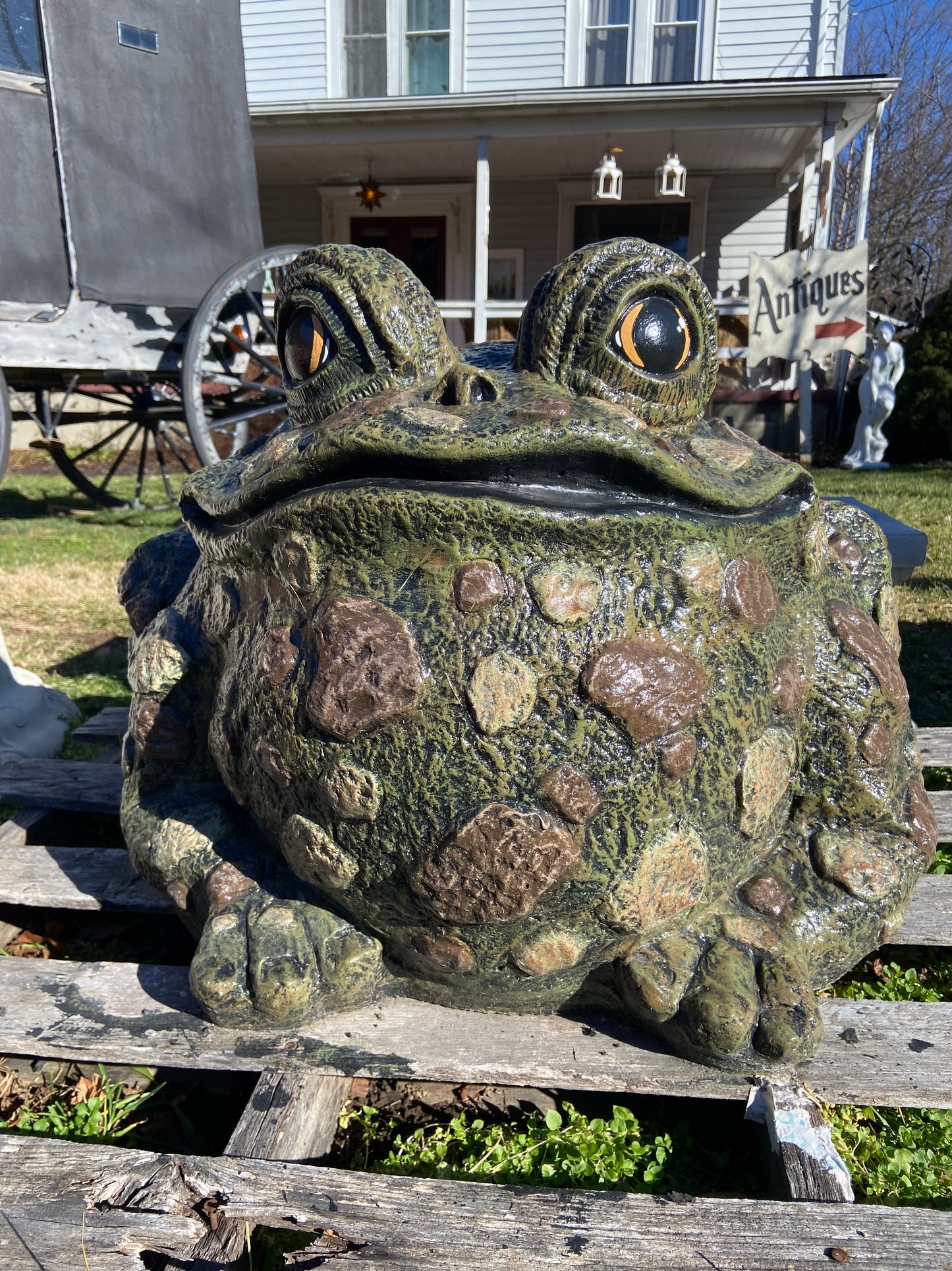Extra Large Spotted Toad – Ziegler's Statuary