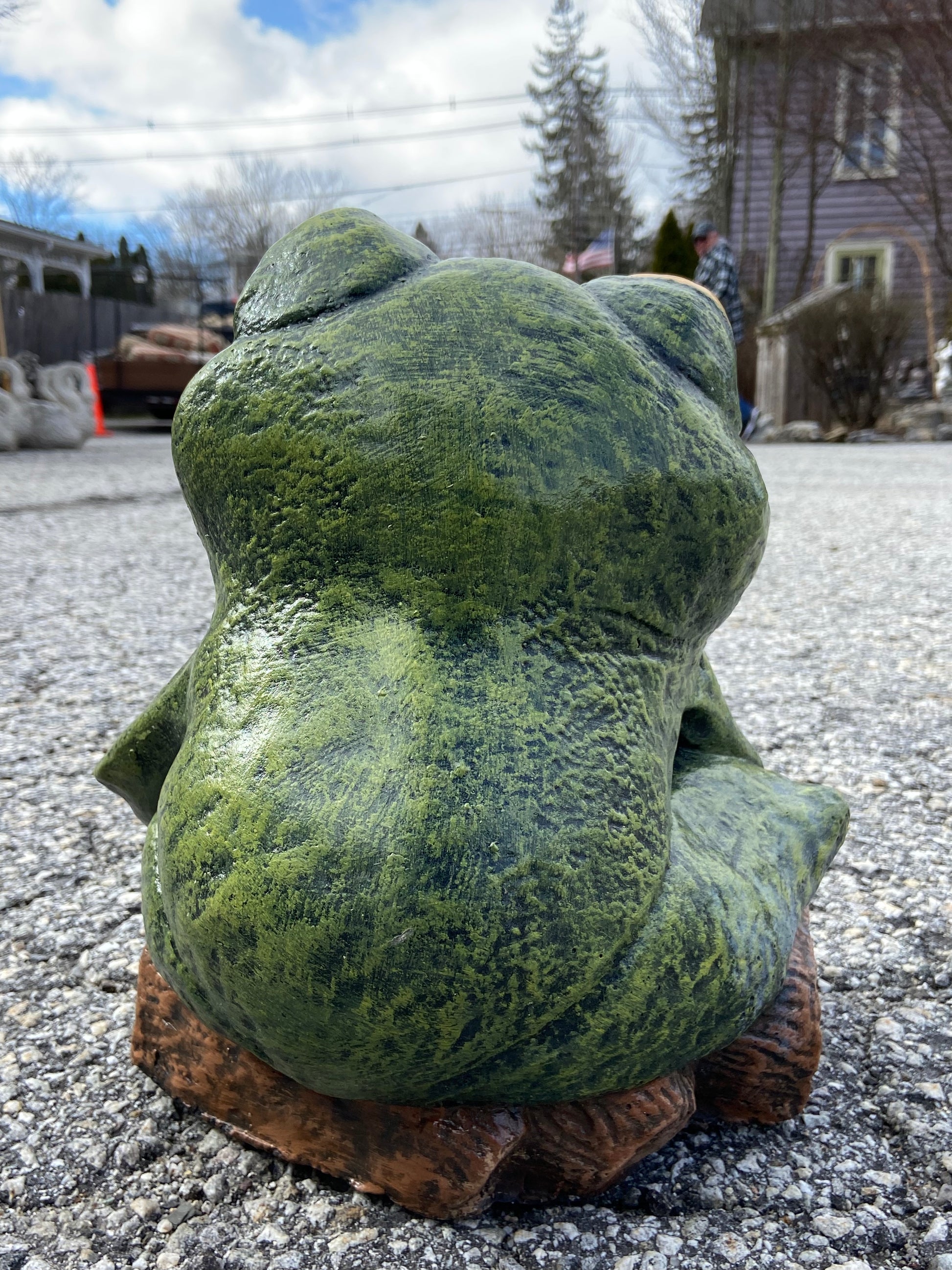Big Eyed Frog Statue – Ziegler's Statuary